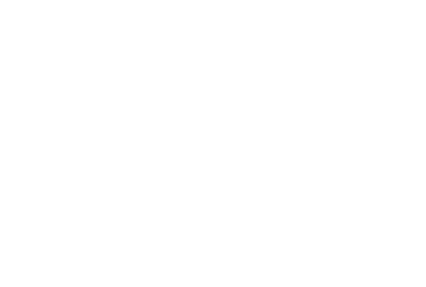 GF 229 WALLMARK® CANVAS - General Formulations